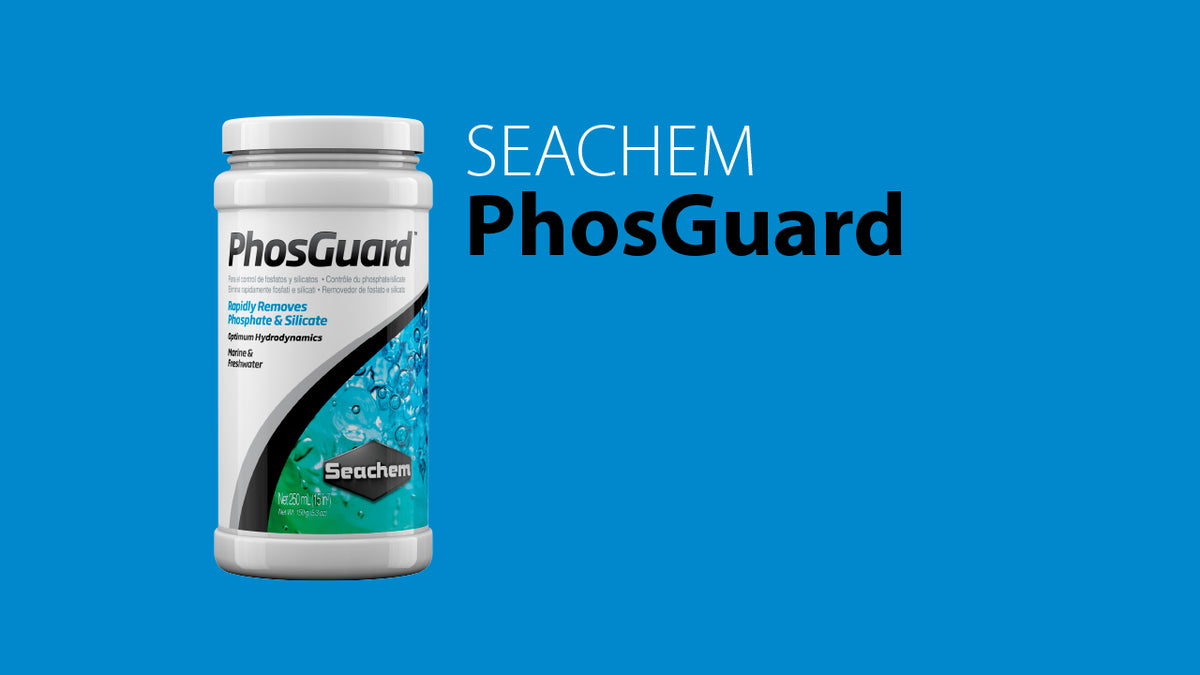 Seachem PhosGuard – Seachem & Aquavitro Malaysia